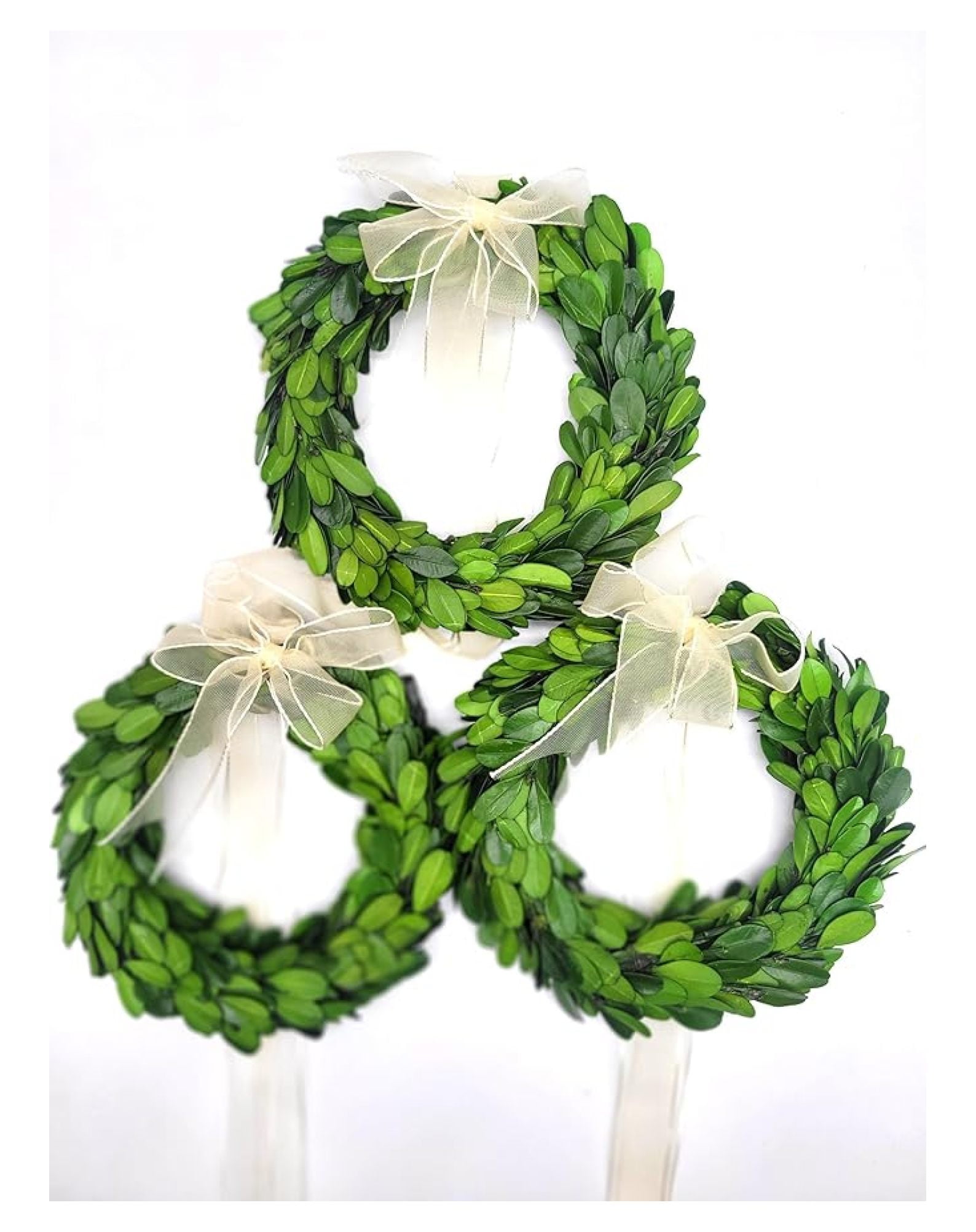 Preserved Boxwood 8 Inch Round Wreath - Set of 3, Table Decor Door Wall ...