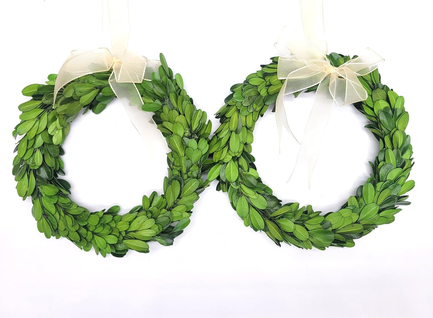 Preserved Boxwood Round Wreath- 8 Inch Set of 2, Table Door Wall ...