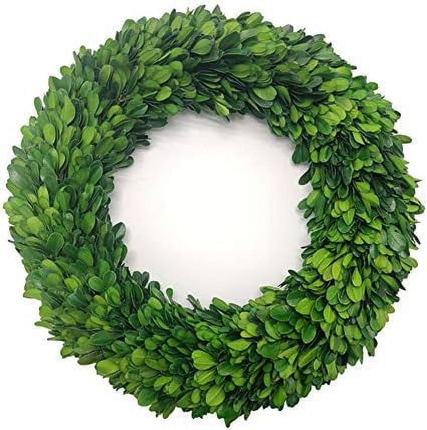 Preserved Boxwood Wreath - 12 Inch Greenery Wreath for Front Door ...