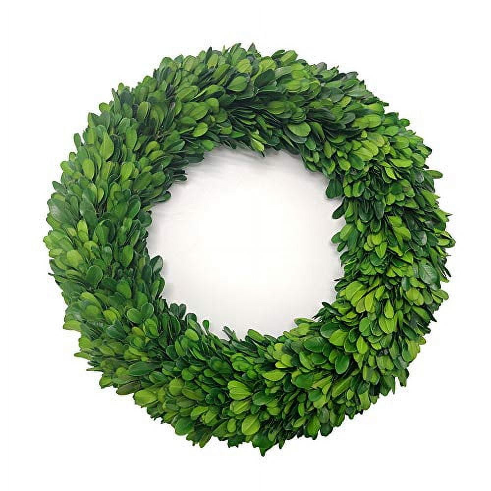 Preserved Boxwood Wreath 12 Inch Wreath for Front Door Farmhouse ...