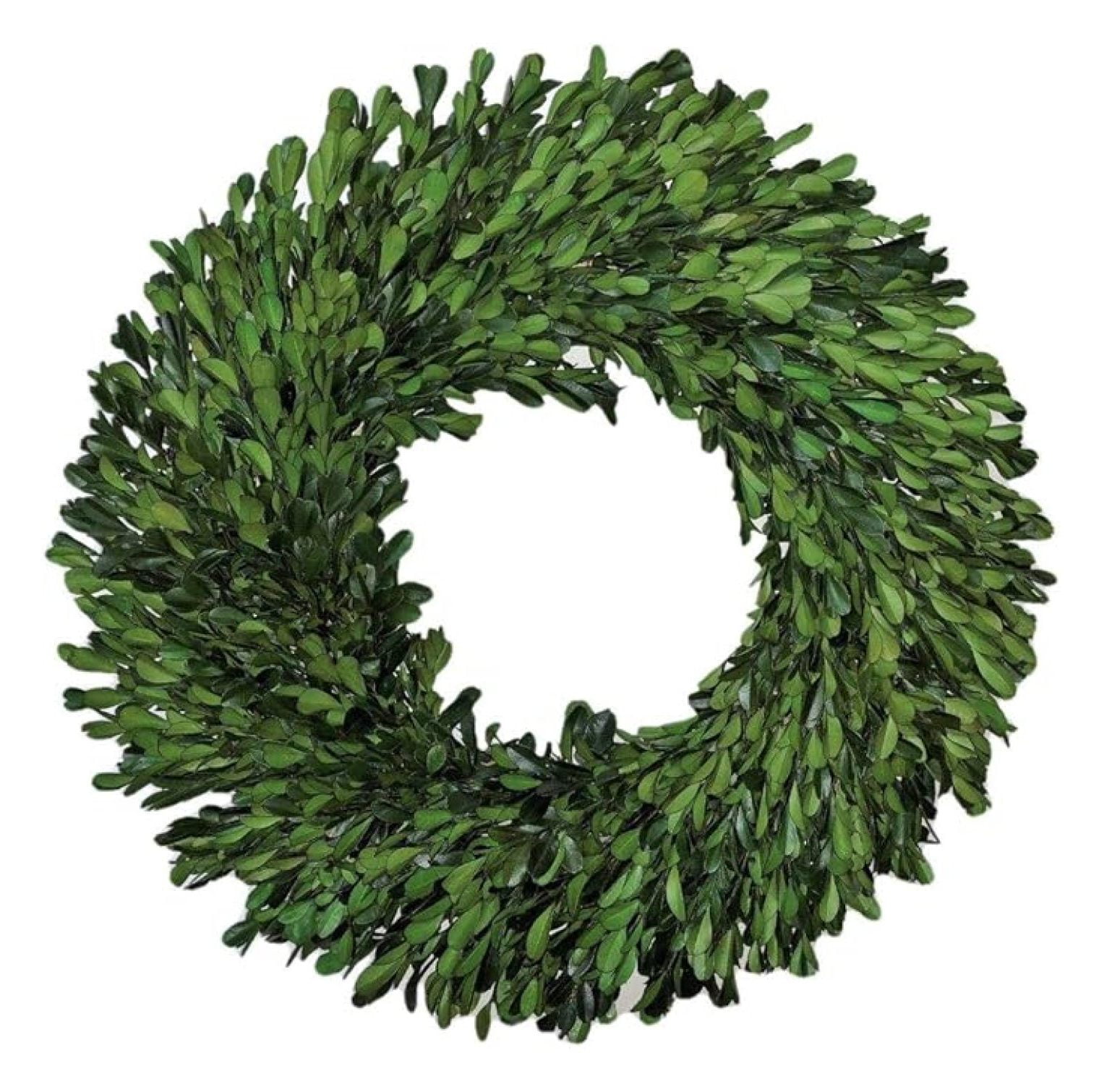 Preserved Boxwood Wreath 14" - Wall Door Hanging Farmhouse and Rustic ...