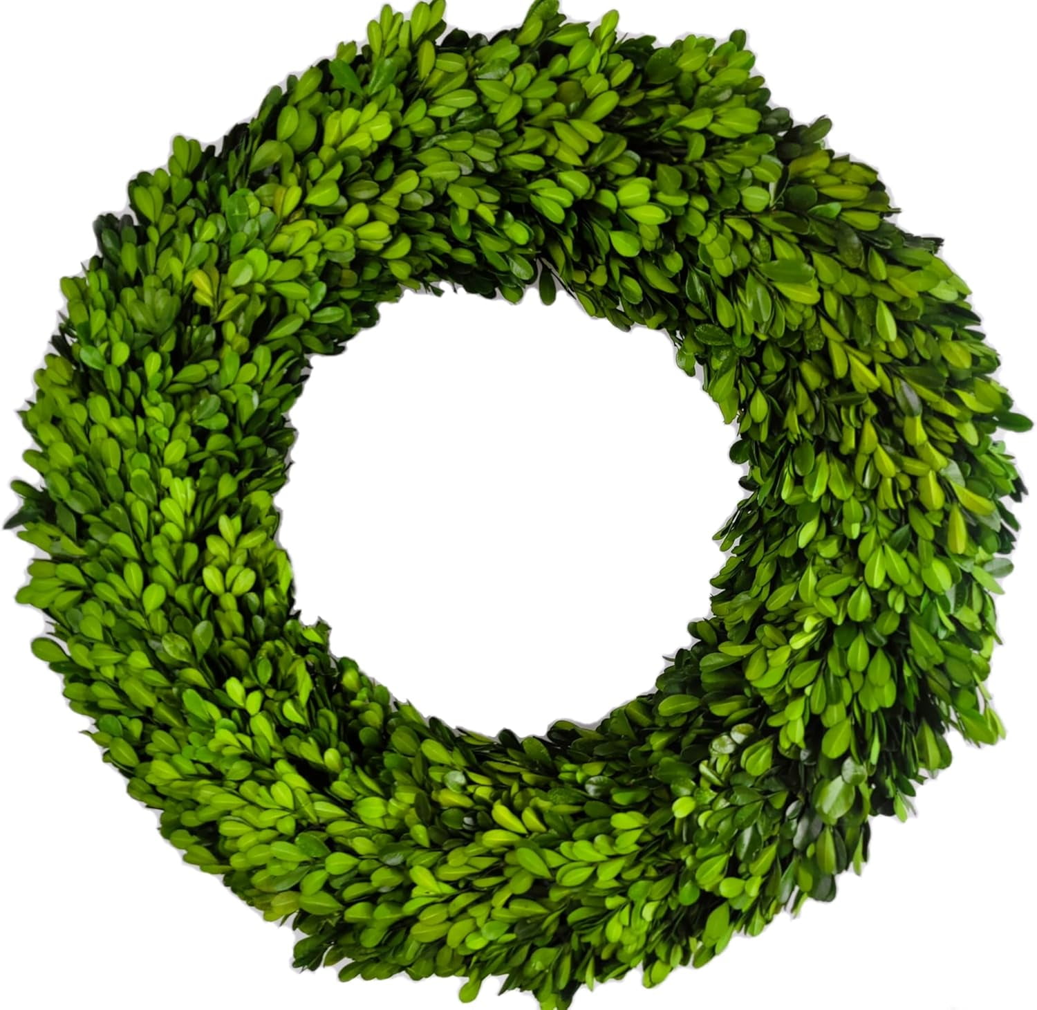 Preserved Boxwood Wreath 22 inch Extra Large Wreath, Home Event Accents ...