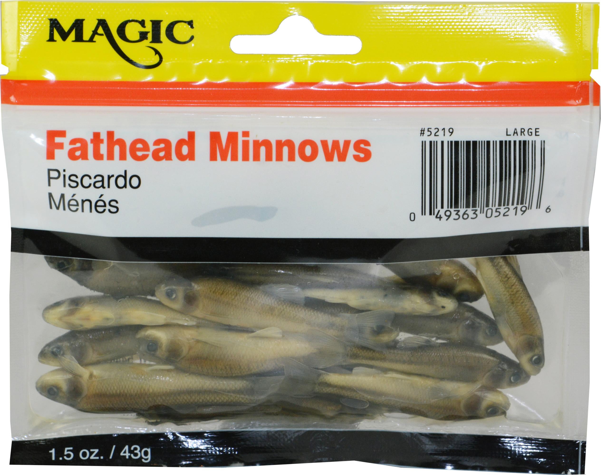 Preserved Fathead Minnows Bait - Large Size - Fishing Bait - Walmart.com