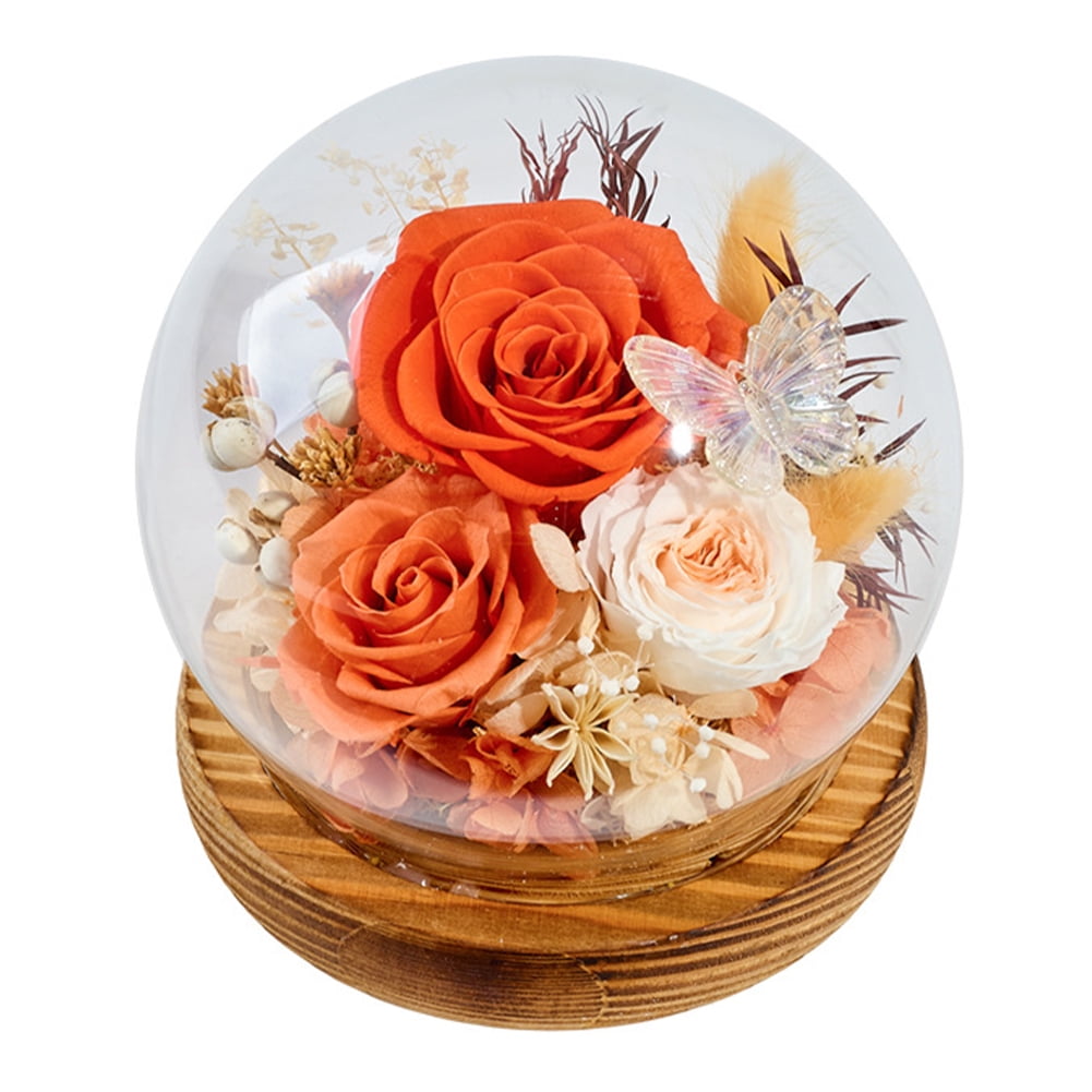 Preserved Flowers in Glass Dome with LED Light, Roses Gifts on Birthday ...