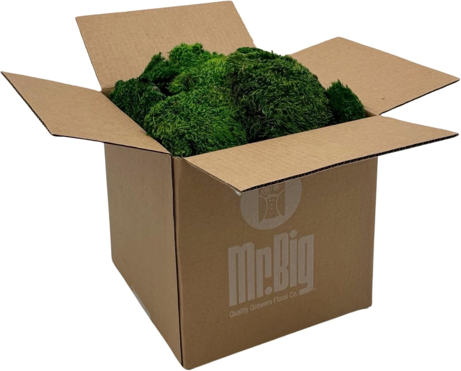 Preserved Mood Moss - Decorative Moss - Dried Moss for Crafts, Home ...