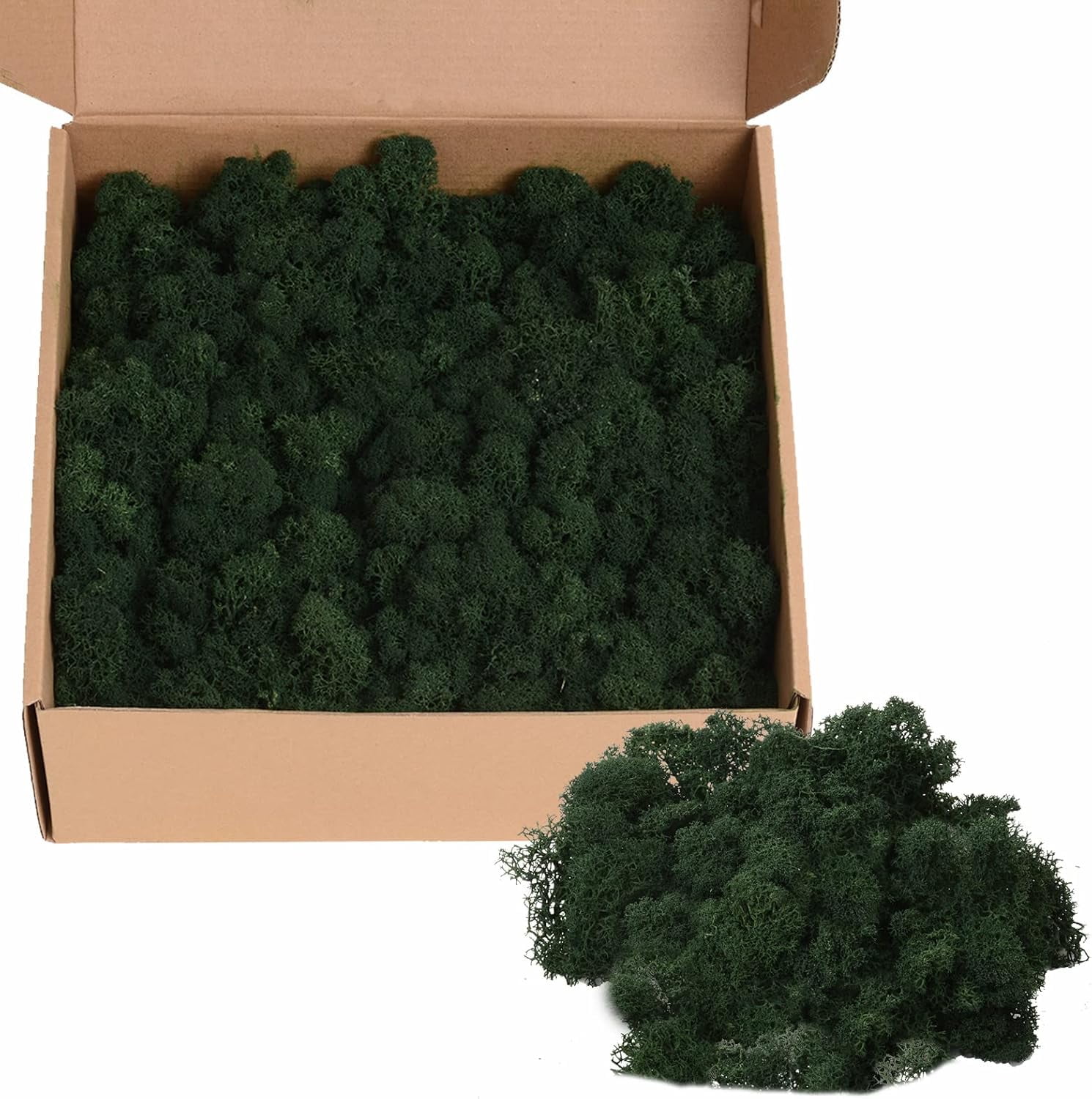 Preserved Moss Colored Moss for Moss Wall Art, Moss Crafts, Moss for ...