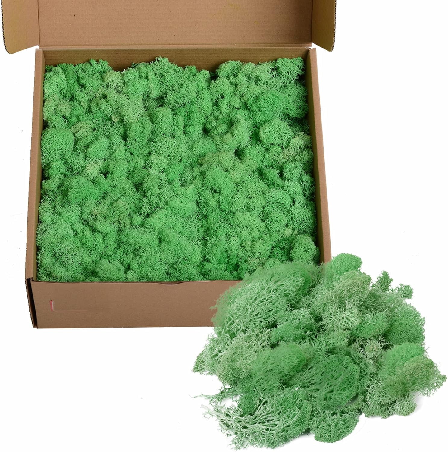 Preserved Moss Colored Moss for Moss Wall Art, Moss Crafts, Moss for ...