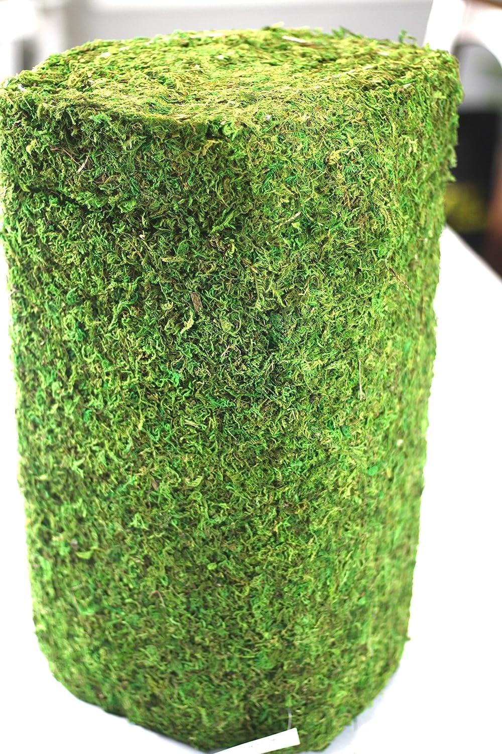 Preserved Moss Runner and Mats (18in x 25ft Runner) - Walmart.com