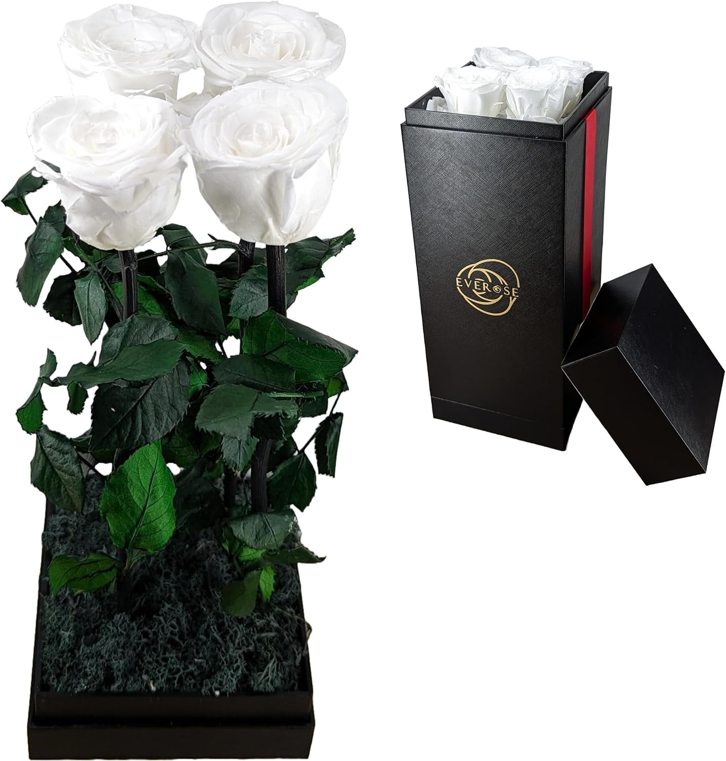 Preserved Real Rose Flowers That Last 1-3 Years – 4 Long Stem Forever ...