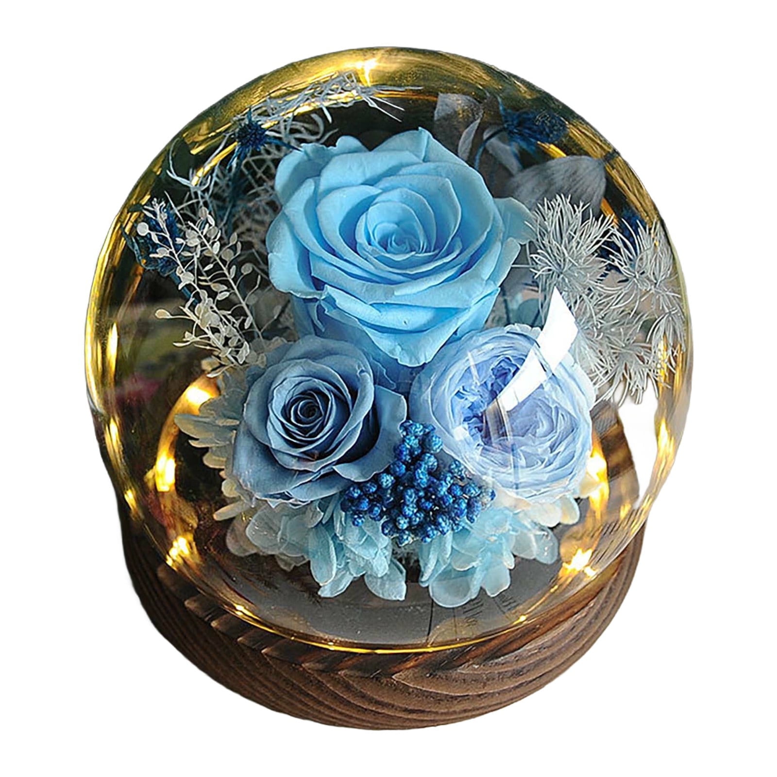 Preserved Real Rose in Glass Dome with Led Fairy Lights, Forever Fresh ...