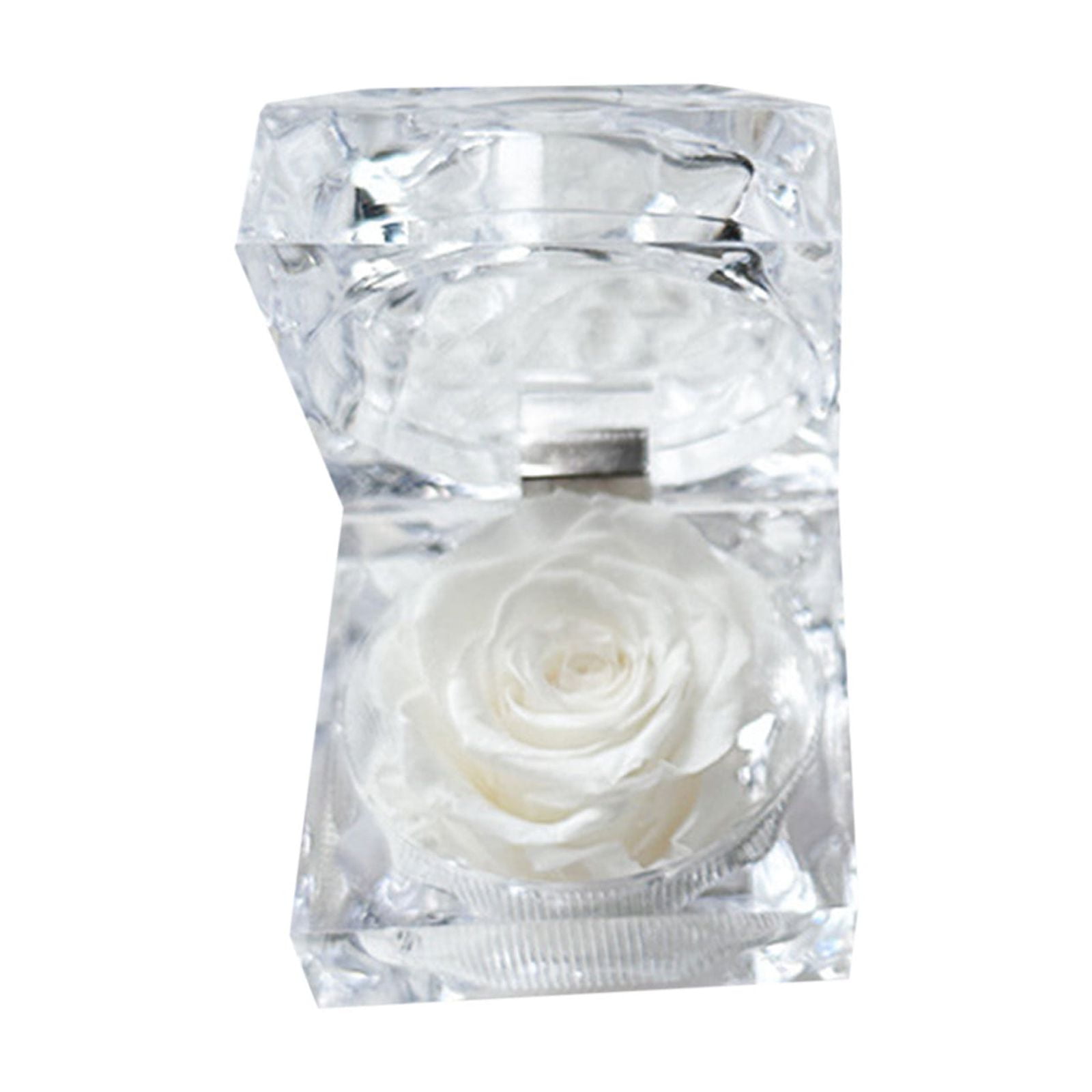 Preserved Real Rose in Crystal Clear Display Box Eternal Rose for ...