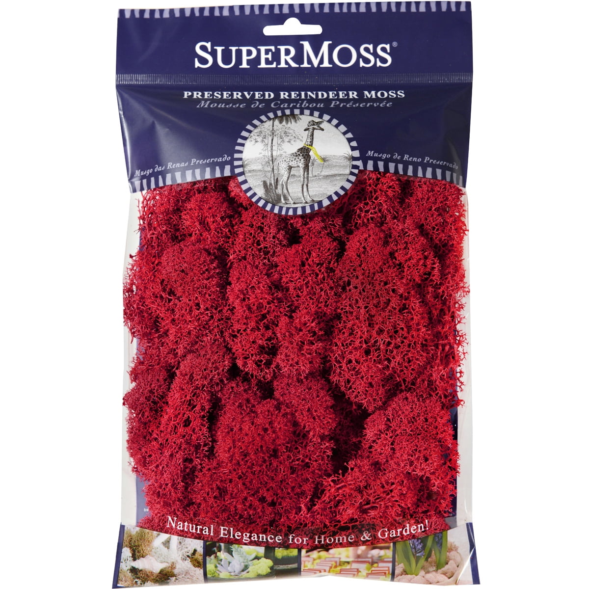 Preserved Reindeer Moss 2oz - Red - Walmart.com