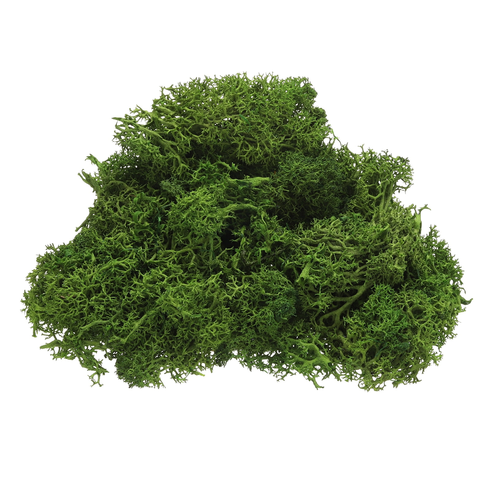 Preserved Reindeer Moss, 4 OZ Fake Moss for Crafts Artificial Dried ...