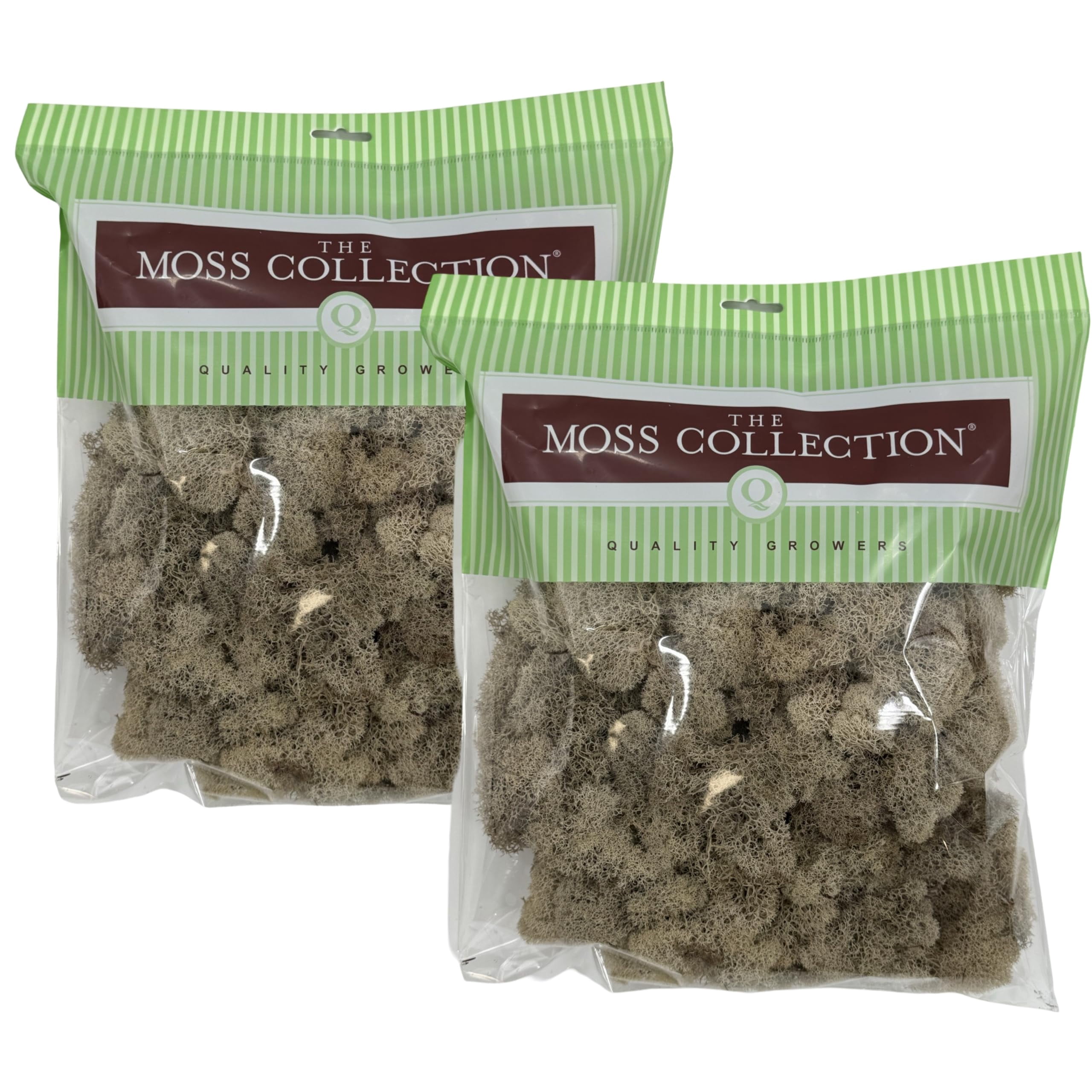 Preserved Reindeer Moss - Premium Decorative Moss for Crafts, Home ...