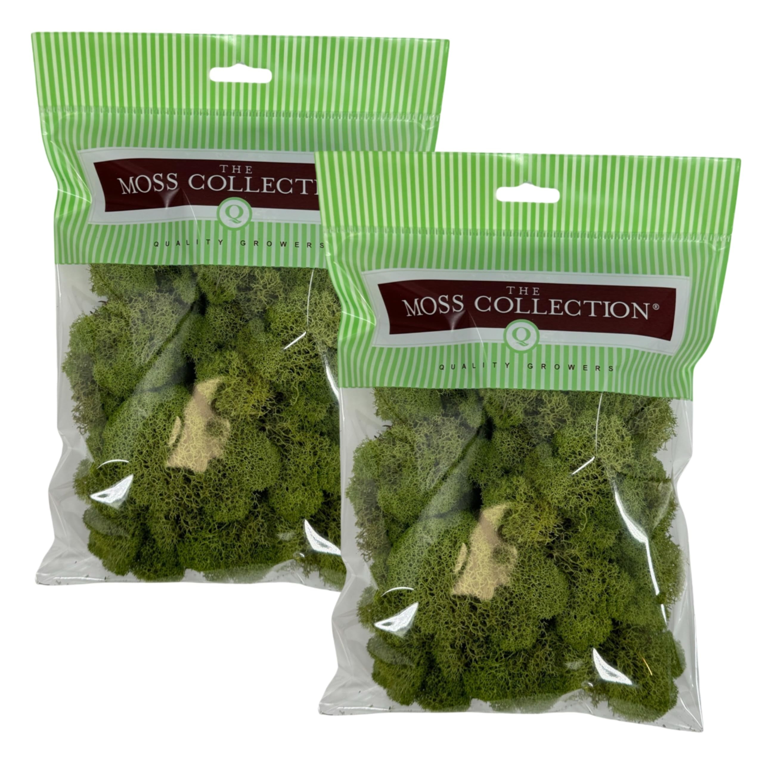 Preserved Reindeer Moss - Premium Decorative Moss for Crafts, Home ...