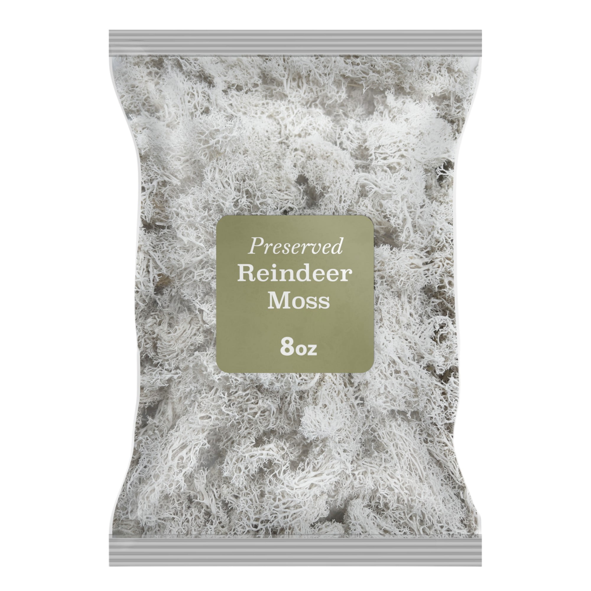 Preserved Reindeer Moss White 0.5 lb, by 90210 Kitchen and Bath ...