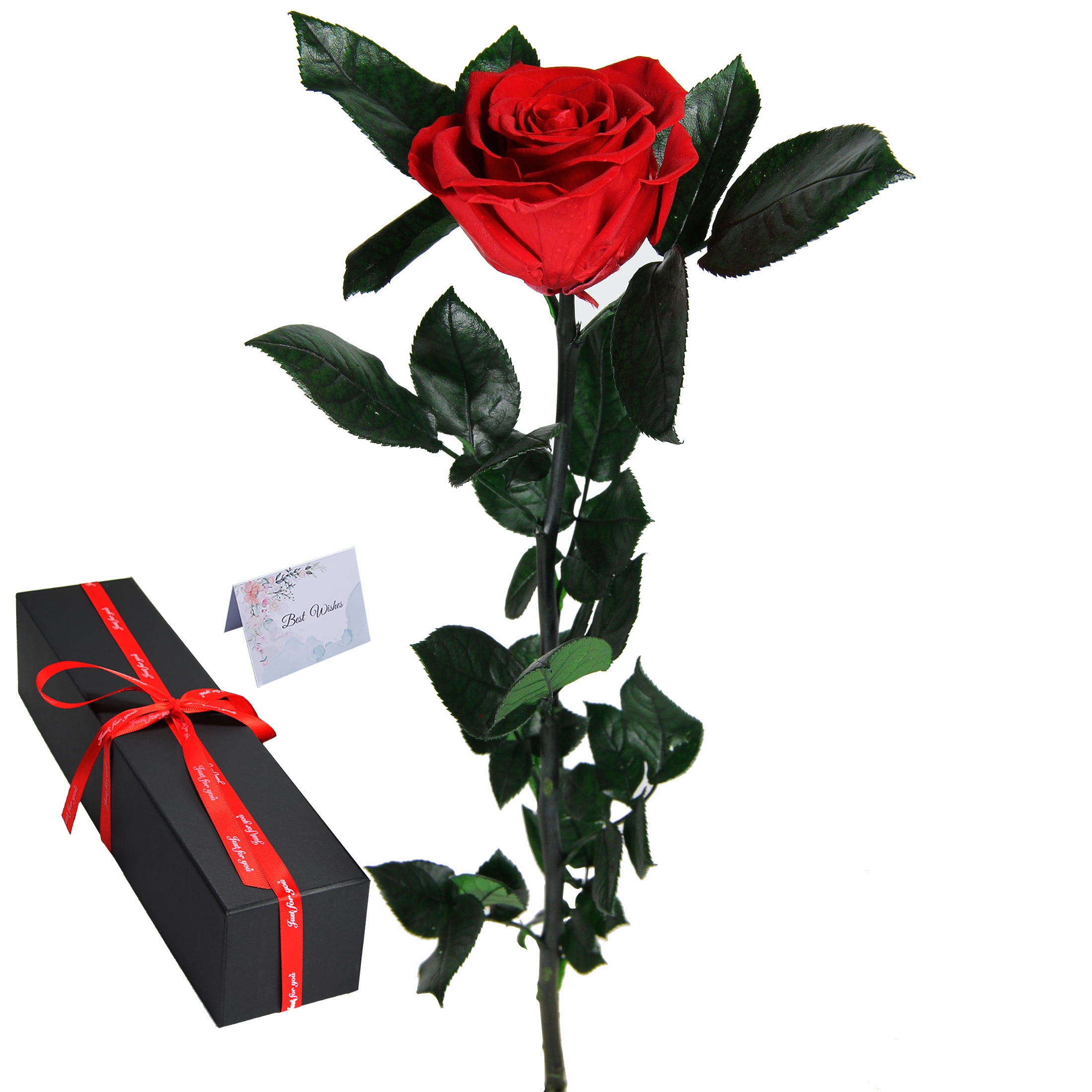 Preserved Rose Gifts for Women，Real Rose Forever Rose Flower Gifts for ...