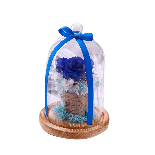 Preserved Rose Glass Cover Eternal Rose Glass Cover Creative Valentine ...