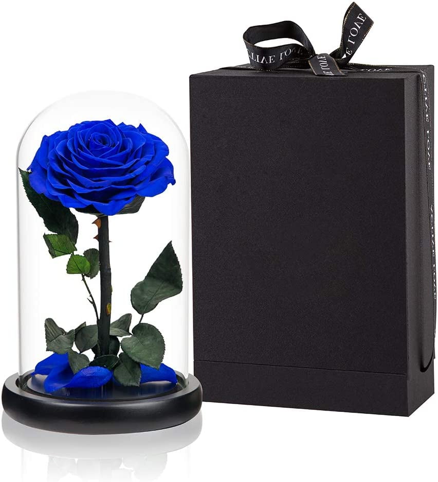 Preserved Roses Black Roses in Glass Dome, Medium, Real Rose That Last ...