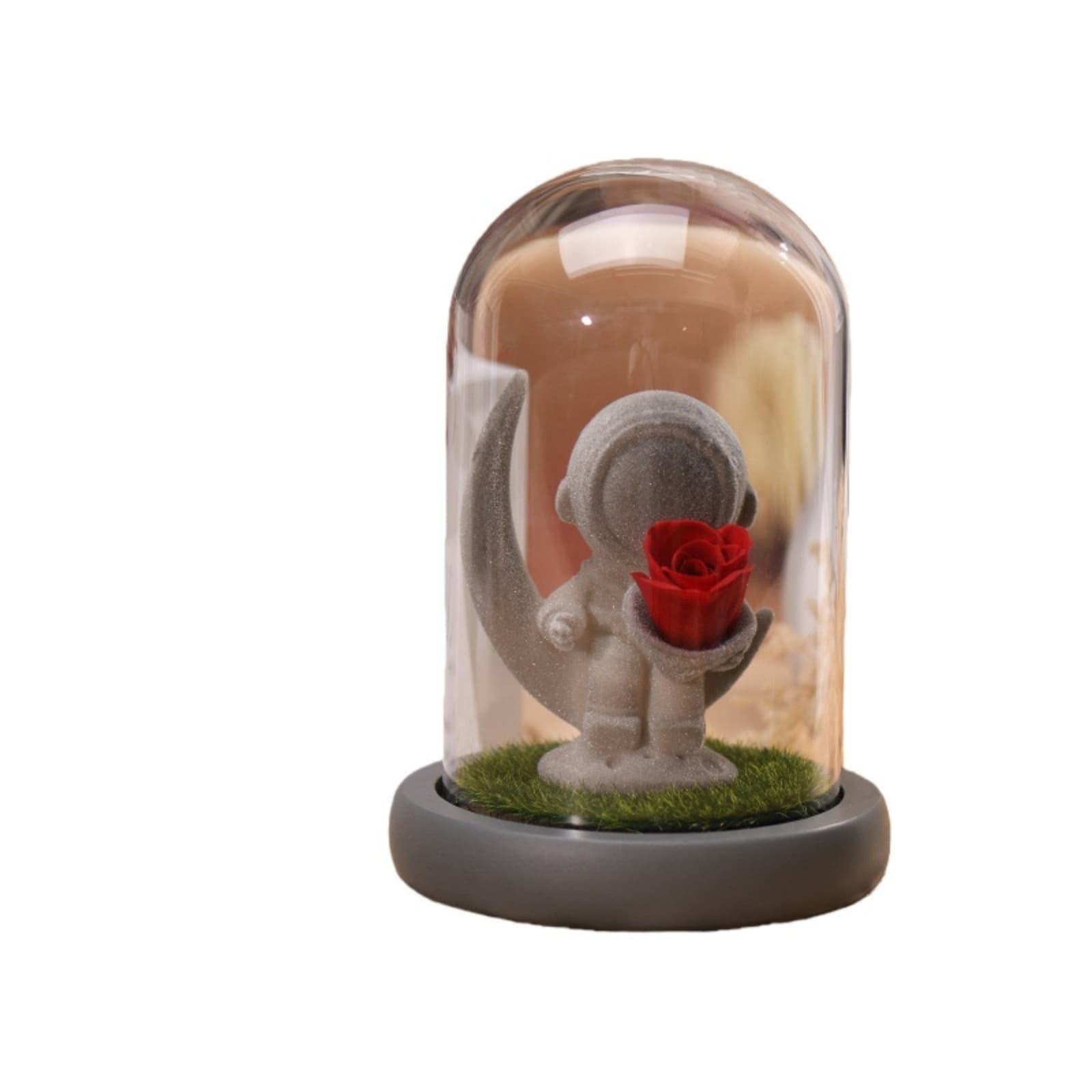 Preserved Roses in Glass Dome,Eternal Rose Bear with Led Light,Forever ...