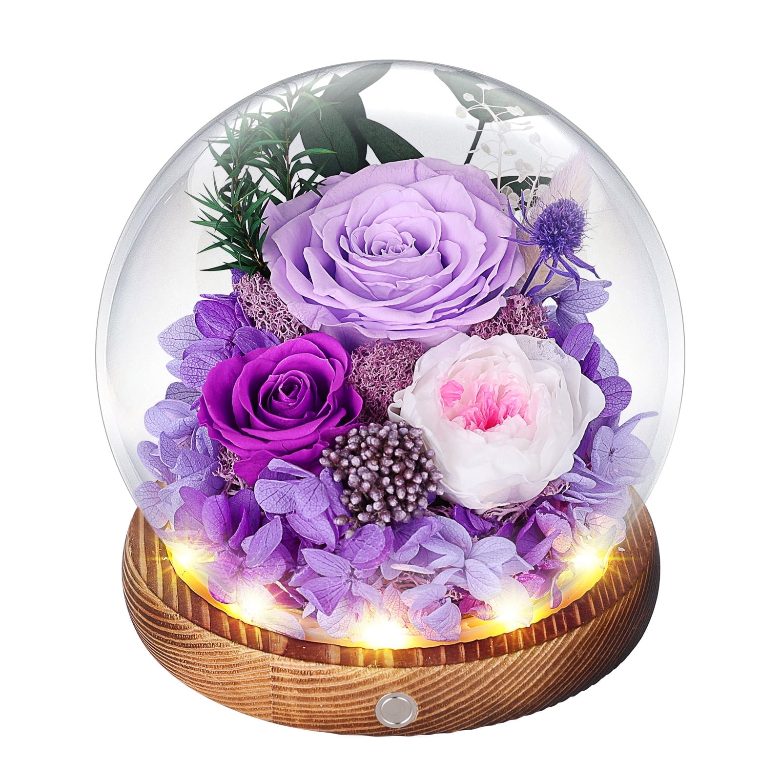 Preserved Roses in Glass Dome with LED Light – Real Long-Lasting Roses ...