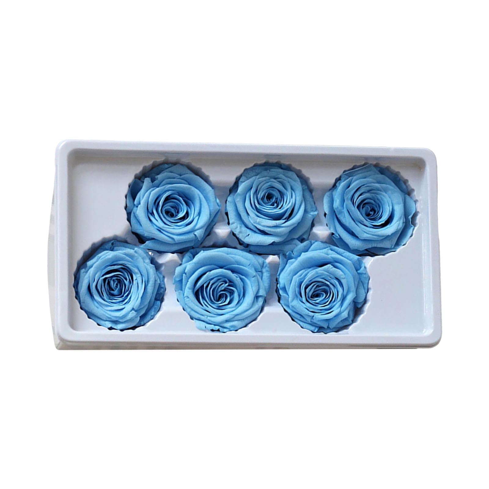 Preserved Roses Immortal Roses Gift For Her Eternal Rose Preserved ...