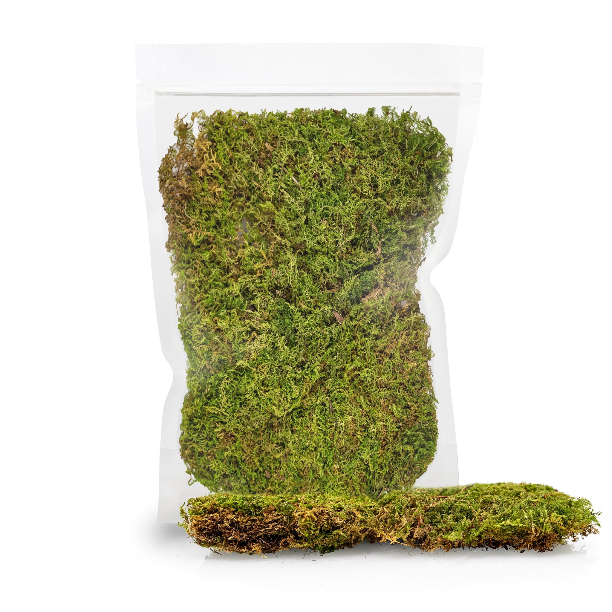 ⭐ Preserved Sheet Moss in Natural Green | Decorative Real Natural Green ...