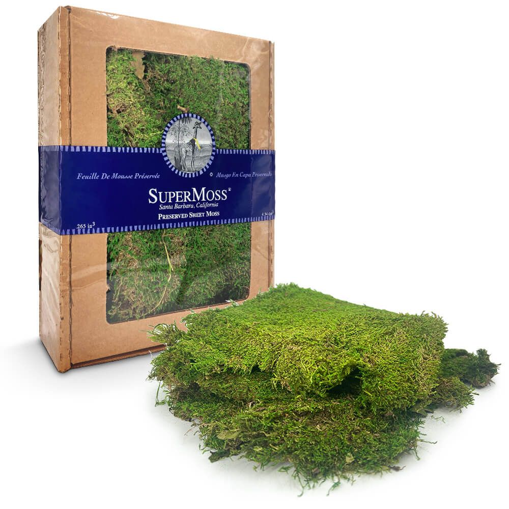 Preserved Sheet Moss - Party Supplies Decorations - Walmart.com