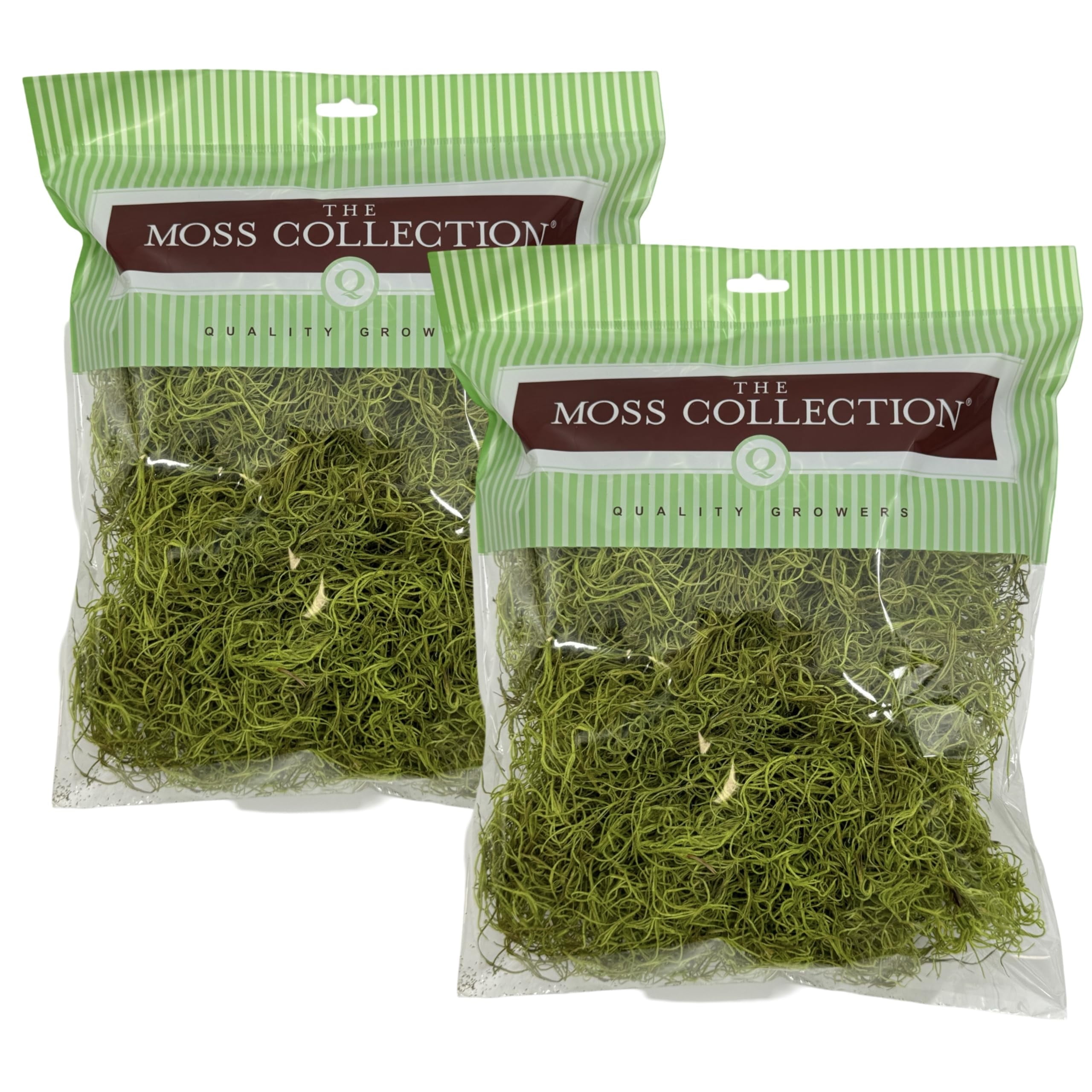 Preserved Spanish Moss - Premium Decorative Moss for Crafts, Home Décor ...