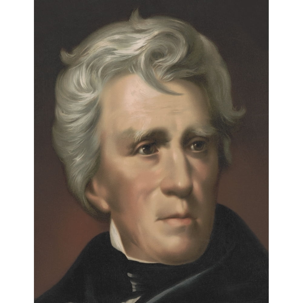 President Andrew Jackson History - Walmart.com