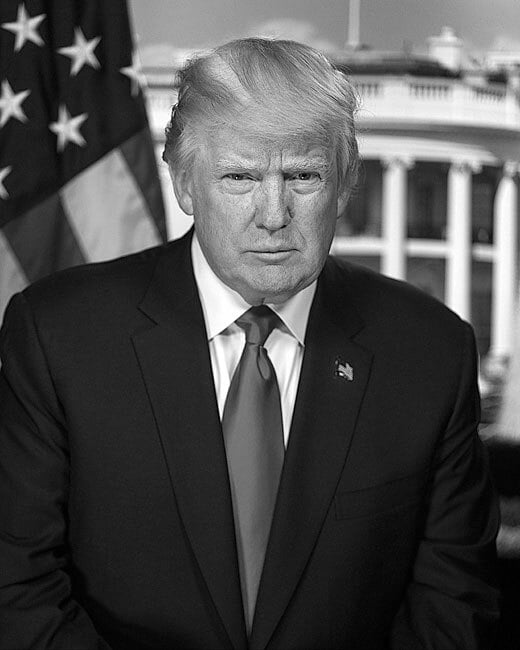 President Donald Trump Official Portrait B&W - Style A - 24x36 Inch ...