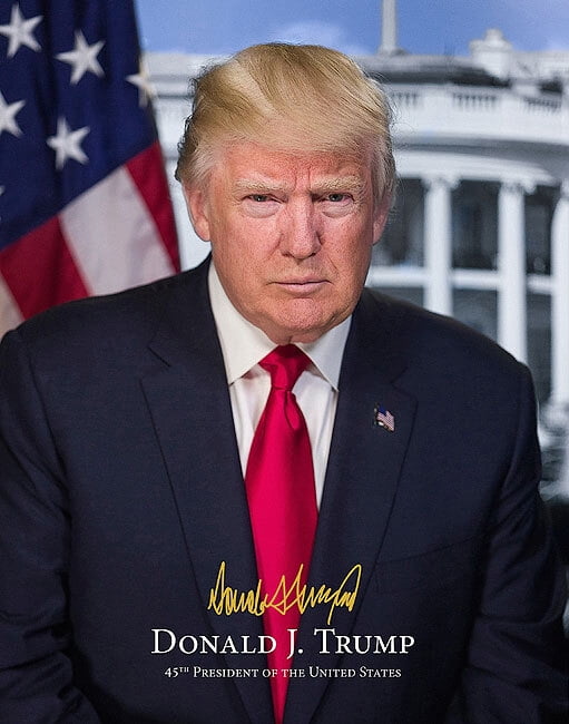President Donald Trump Official Portrait with Signature - 24x36 Inch ...
