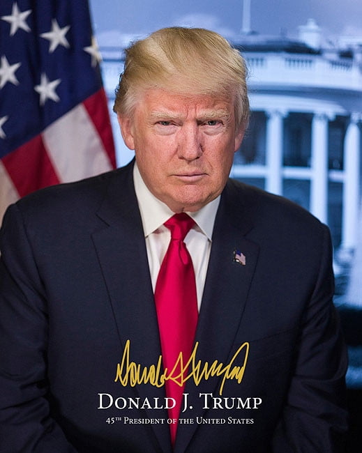 President Donald Trump Official Portrait with Signature - Style A ...