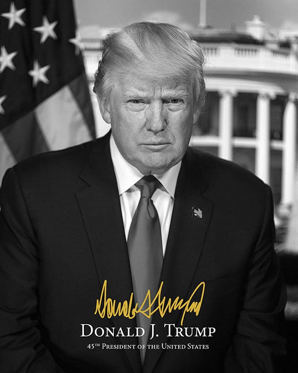 President Donald Trump Portrait B&W with Signature - 24x36 Inch ...