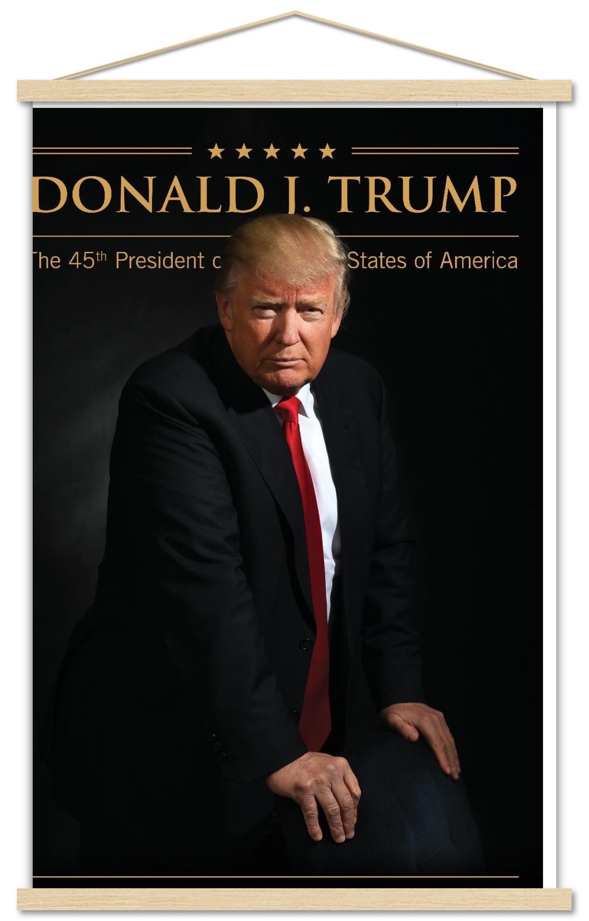 President Donald Trump Wall Poster with Magnetic Frame, 22.375" x 34 ...