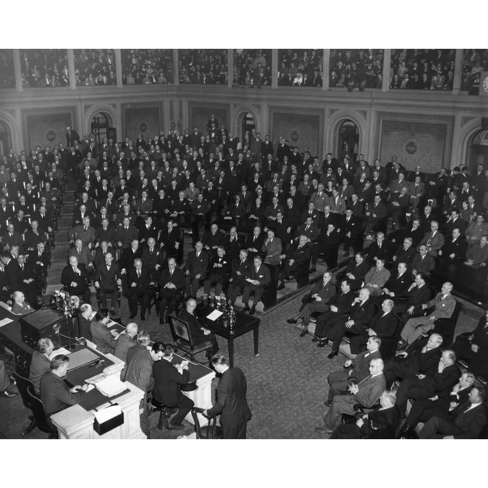 President Franklin D. Roosevelt History Poster Print - Walmart.com