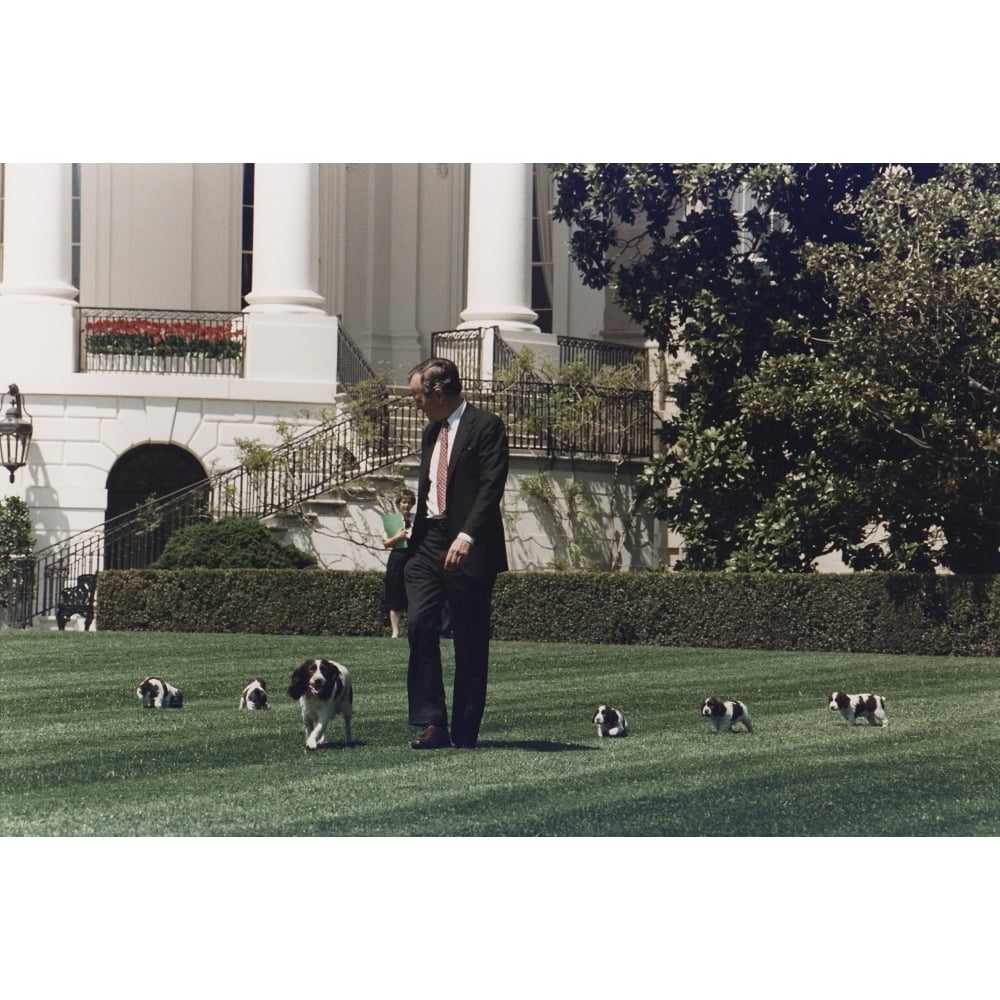 President George H.W. Bush (41) Walks On The South Lawn Of The White ...