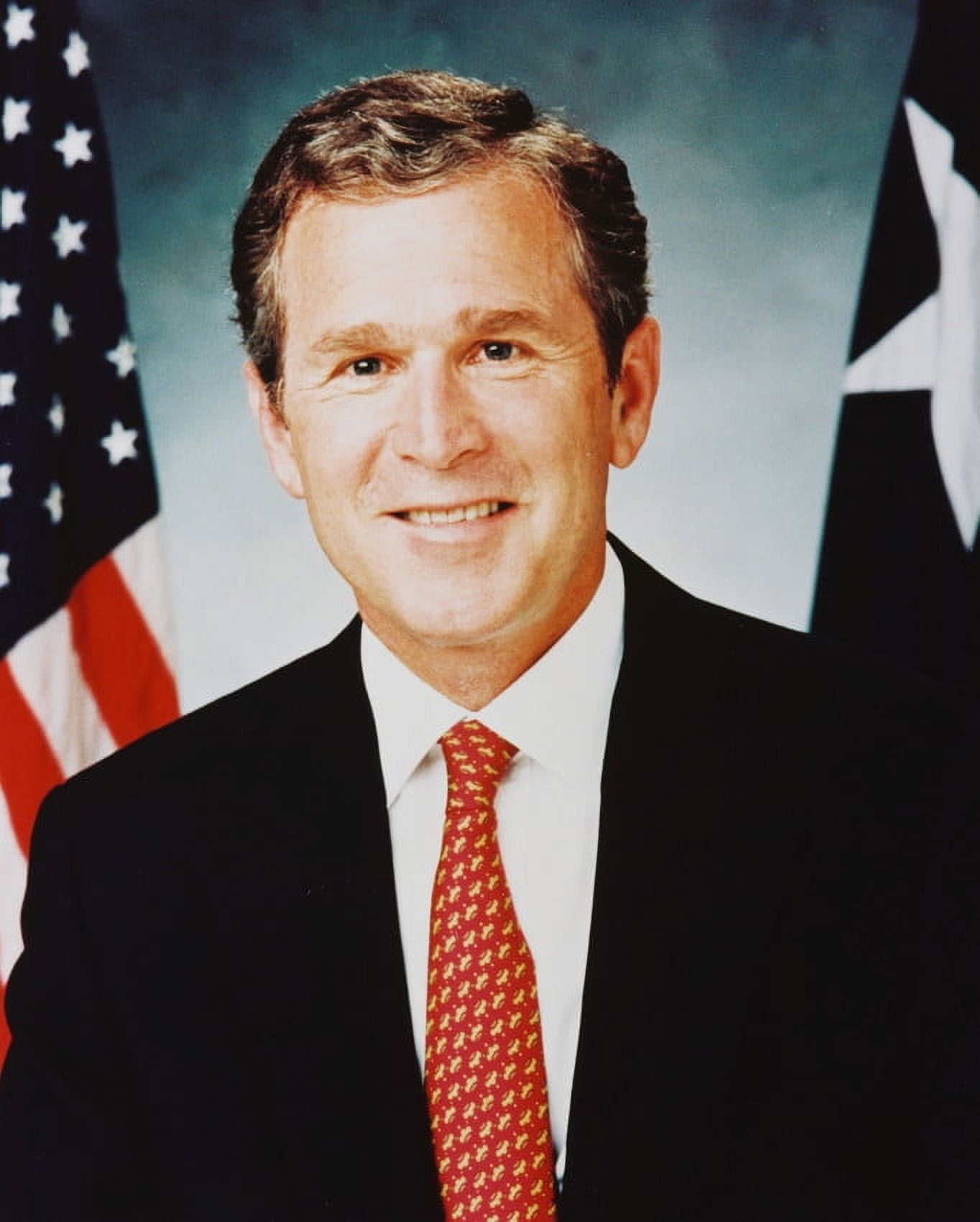 President George W. Bush Jr By Flag 24x36 Classic Hollywood Poster ...