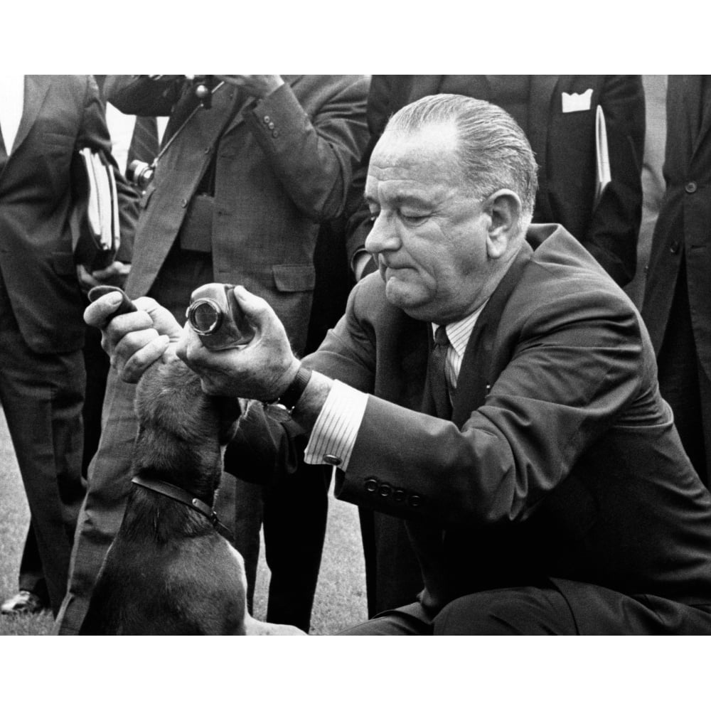 President Lyndon Johnson Pulls The Ears Of One Of His Pet Beagles ...