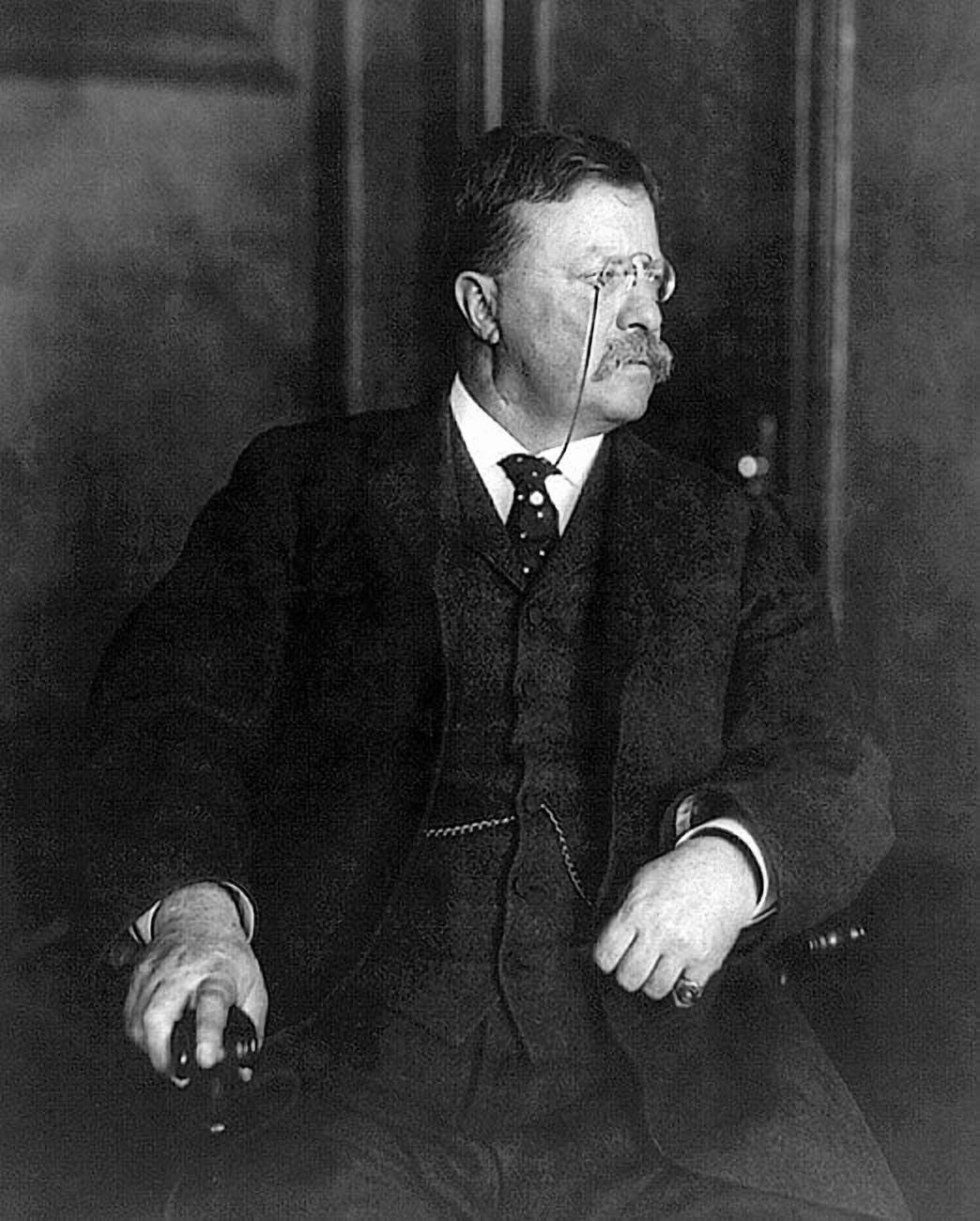 President Theodore Roosevelt 1912 Portrait - 12x18 Inch Laminated ...