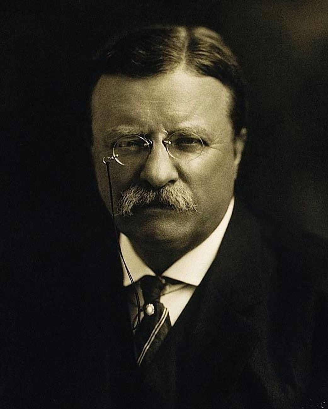 President Theodore Roosevelt 1913 Portrait - Style A - 24x36 Inch ...