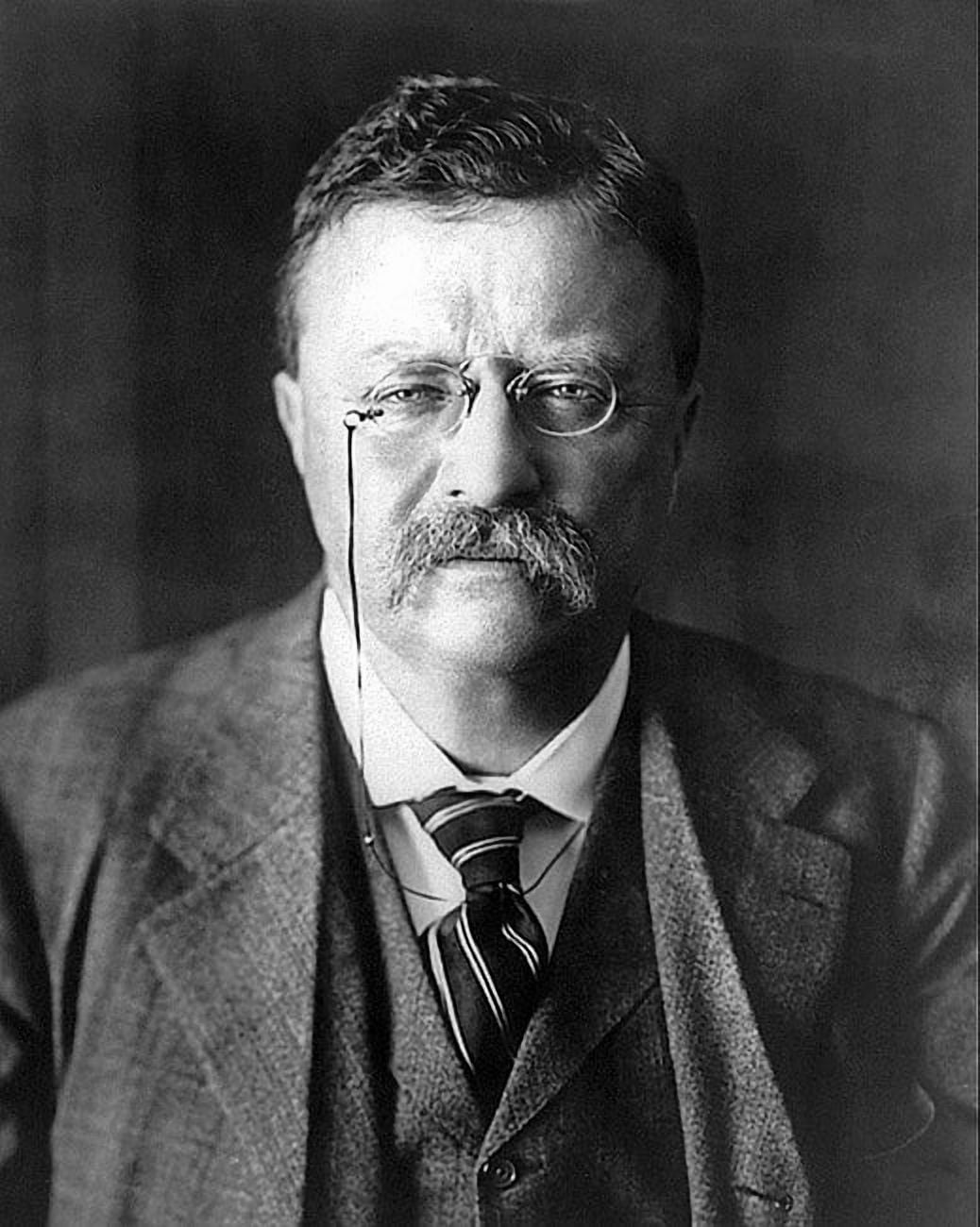 President Theodore Roosevelt Portrait - 24x36 Inch Laminated Poster ...