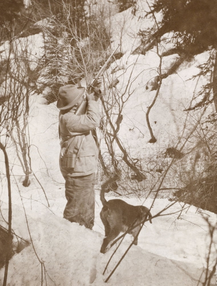 President Theodore Roosevelt Shooting One Of The Big Bears Out Of The ...