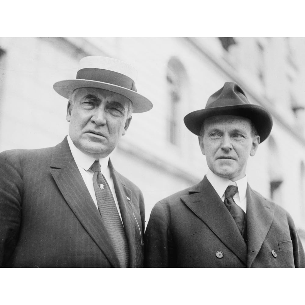 President Warren Harding History Poster Print - Walmart.com
