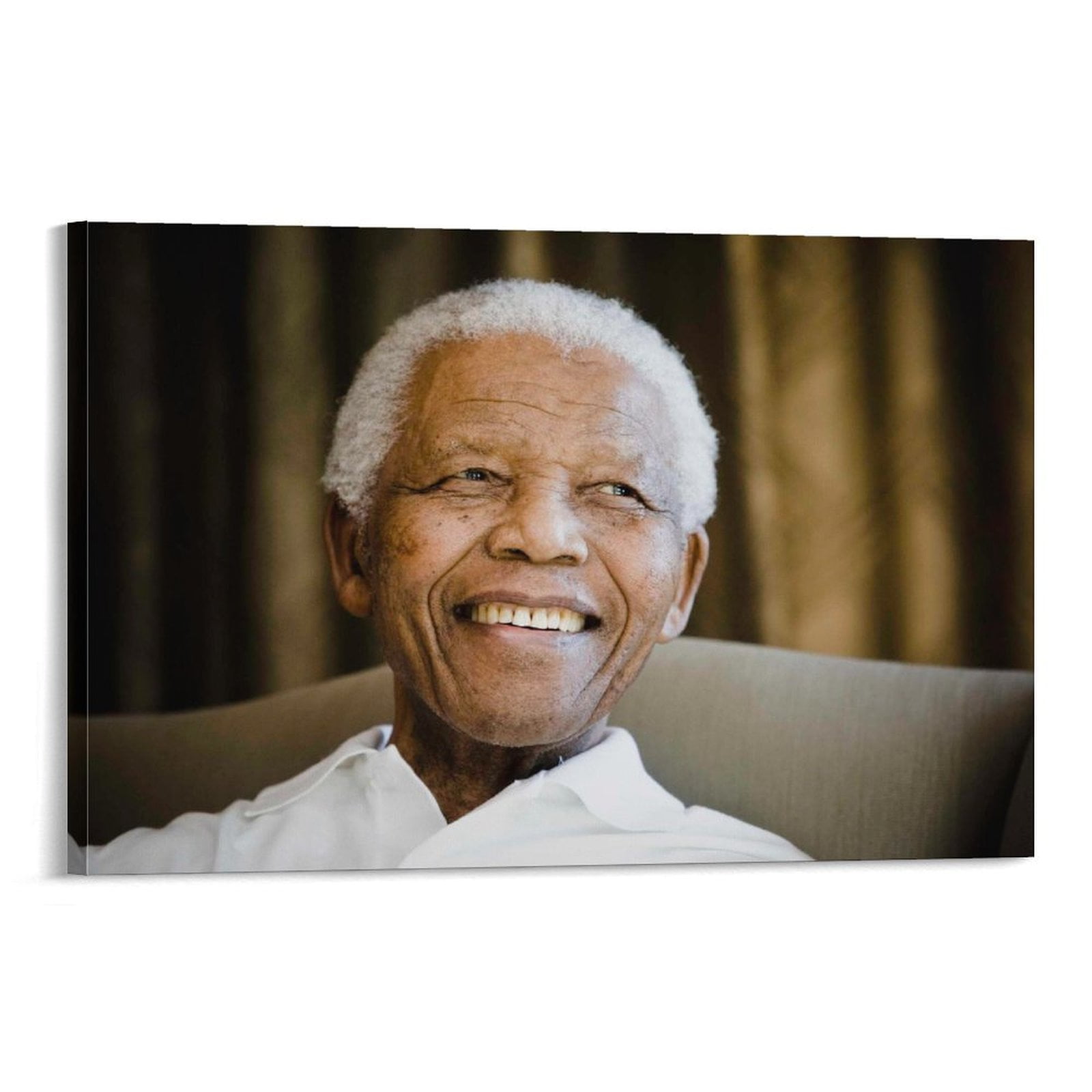 Presidents of The African National Congress Nelson Mandela Poster ...