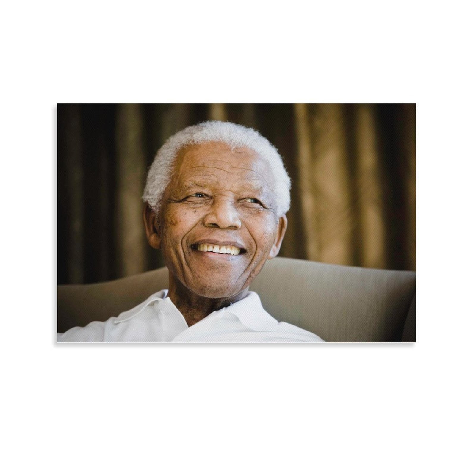 Presidents of The African National Congress Nelson Mandela Poster Poster Decorative Painting ...