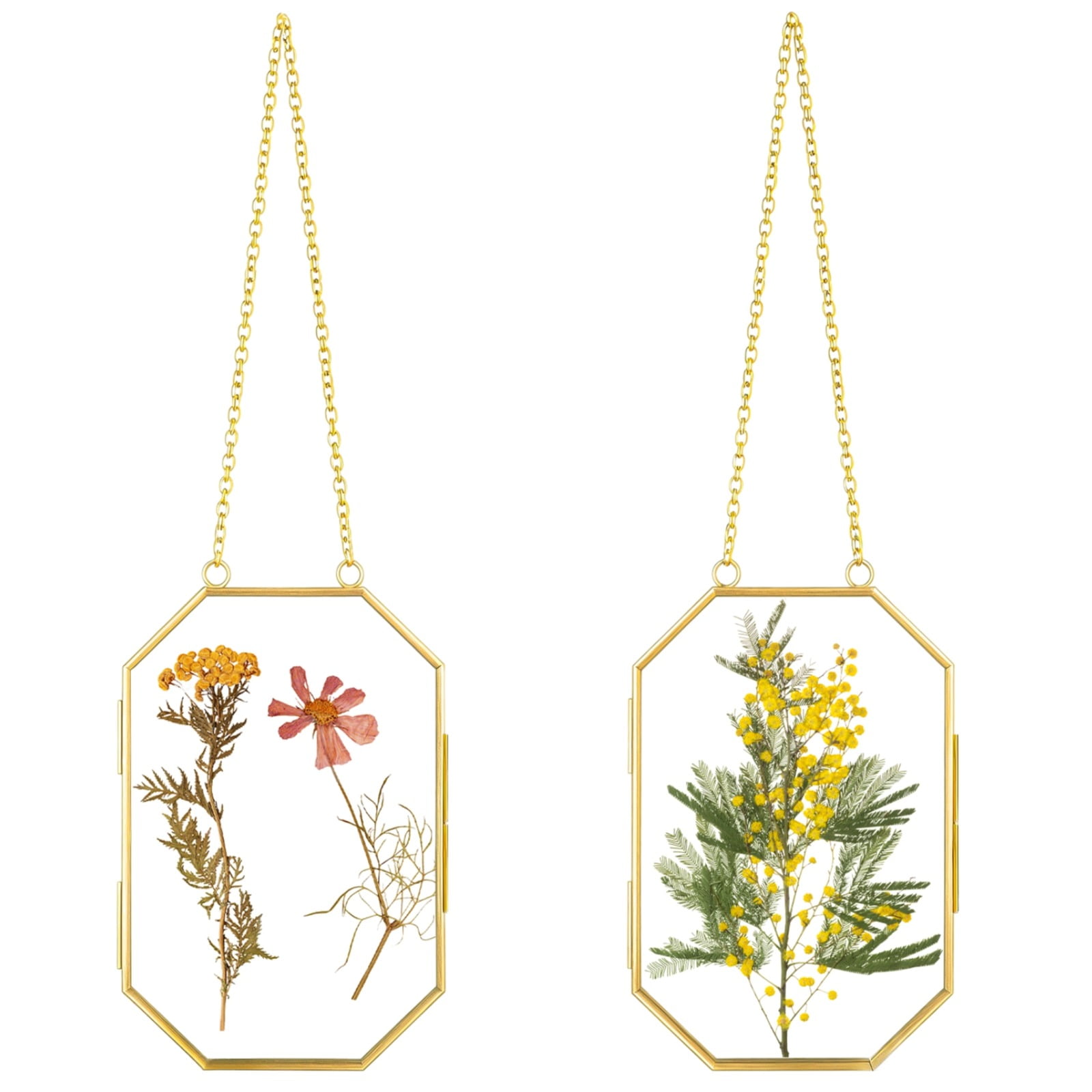 Pressed Flower Glass Frame Set, 2 Pack Gold Metal Floating Picture ...