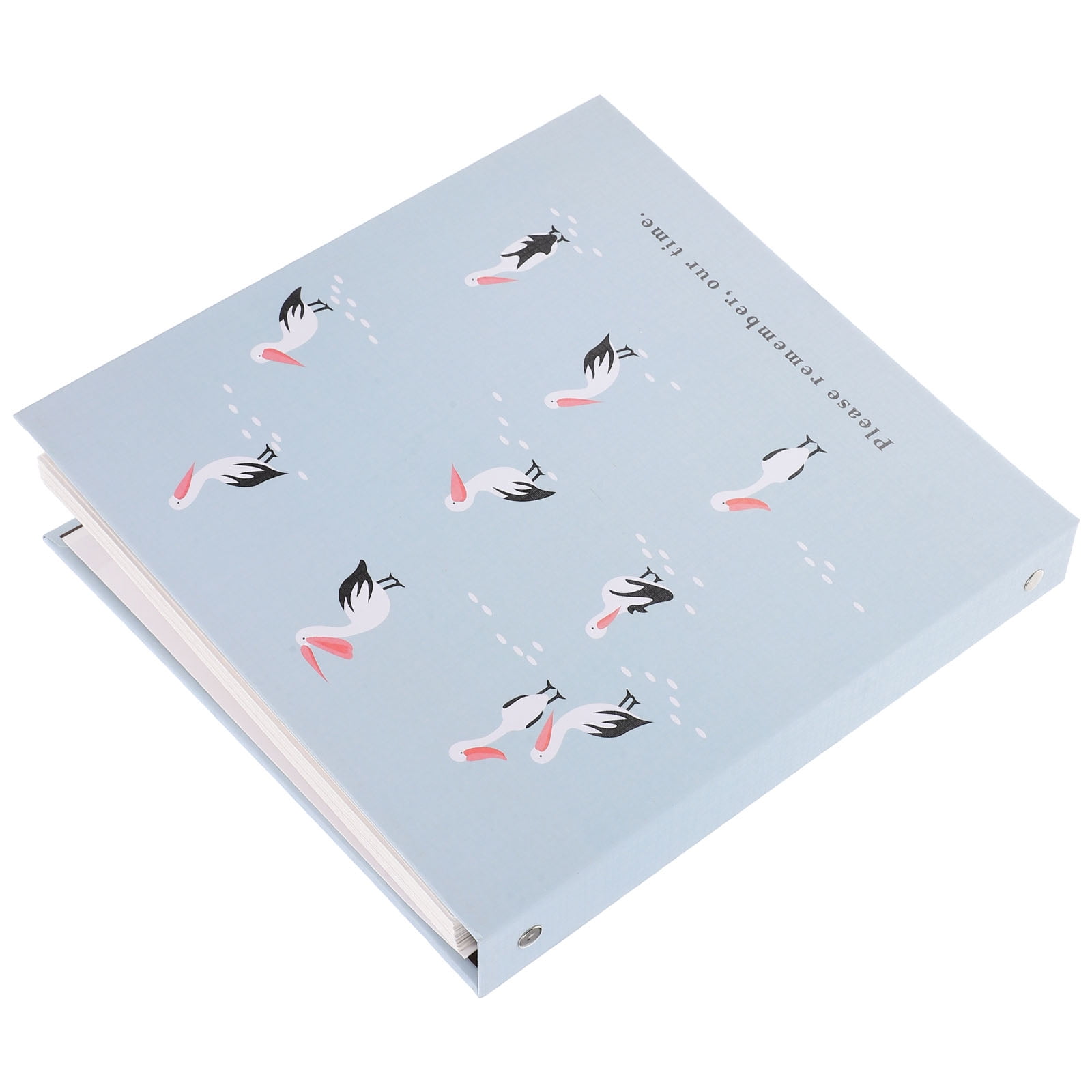 Pressed Flower Photo Album Plant Specimen Collection Album Leaves ...