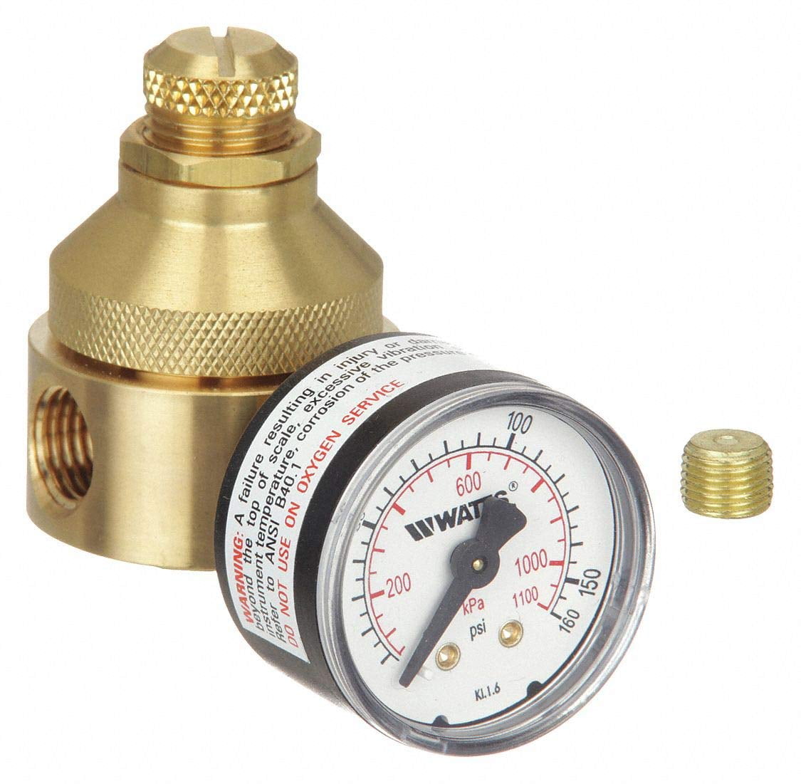 Pressure Regulator,1/4 in,0 to 125 psi - Walmart.com