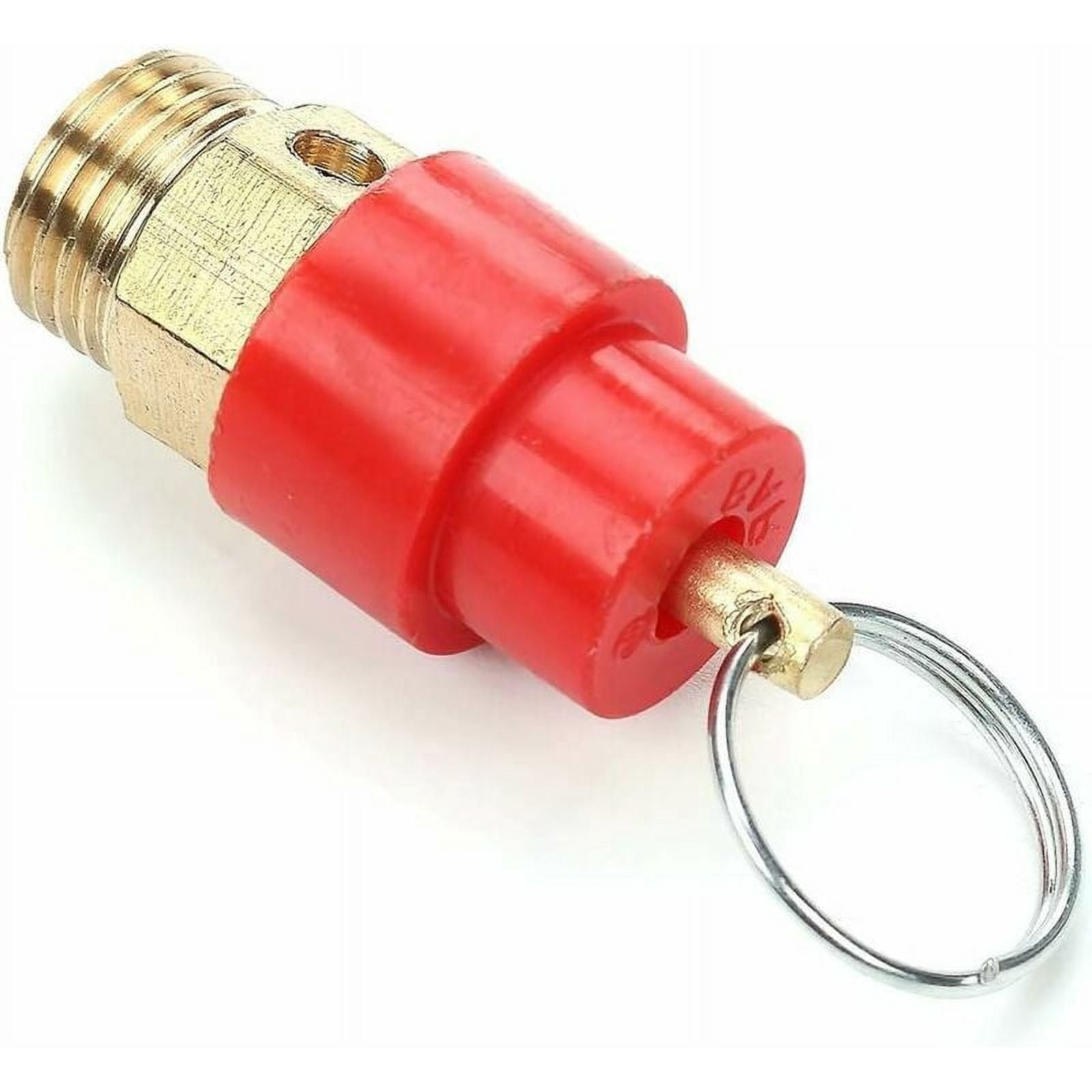 Pressure Relief Valve, Gravity Forged, Stainless Steel Spring, Oil-Free ...